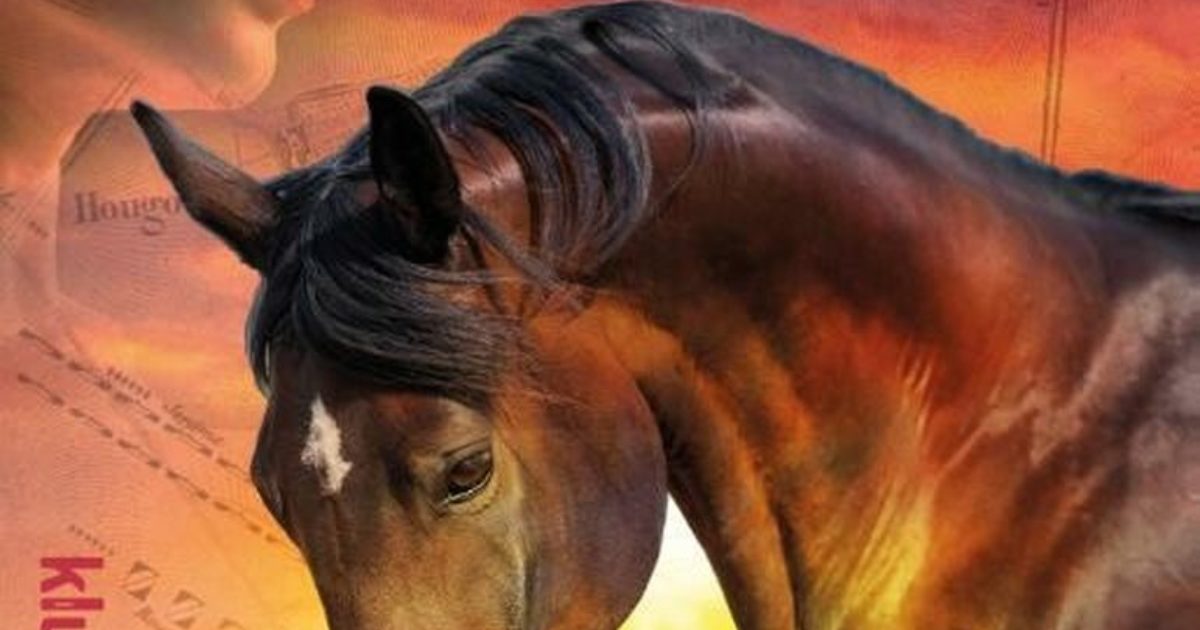 Winactie: jeugdboek over Wexy, het strijdpaard… | Stadsmuseum Tilburg